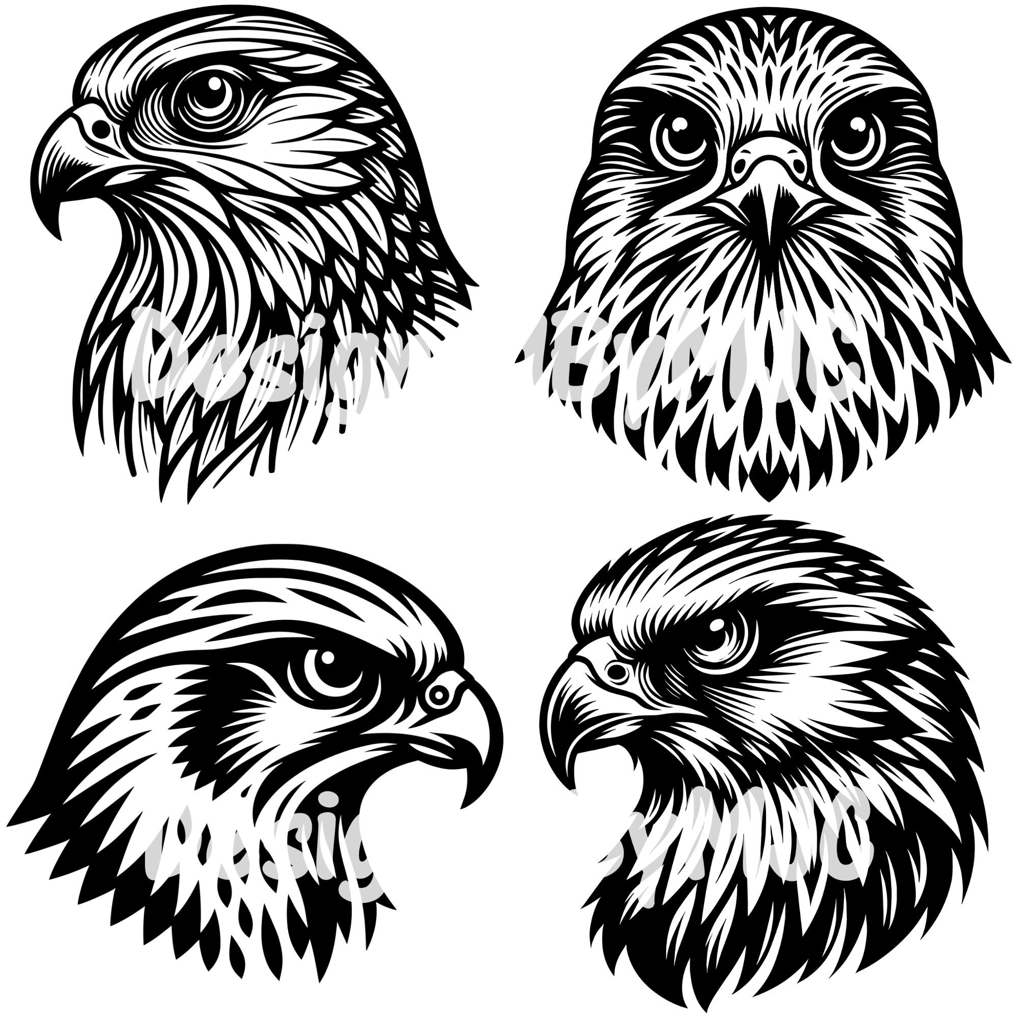 Falcon Head SVG File, American Falcon Head Vector Images, Falcon ...
