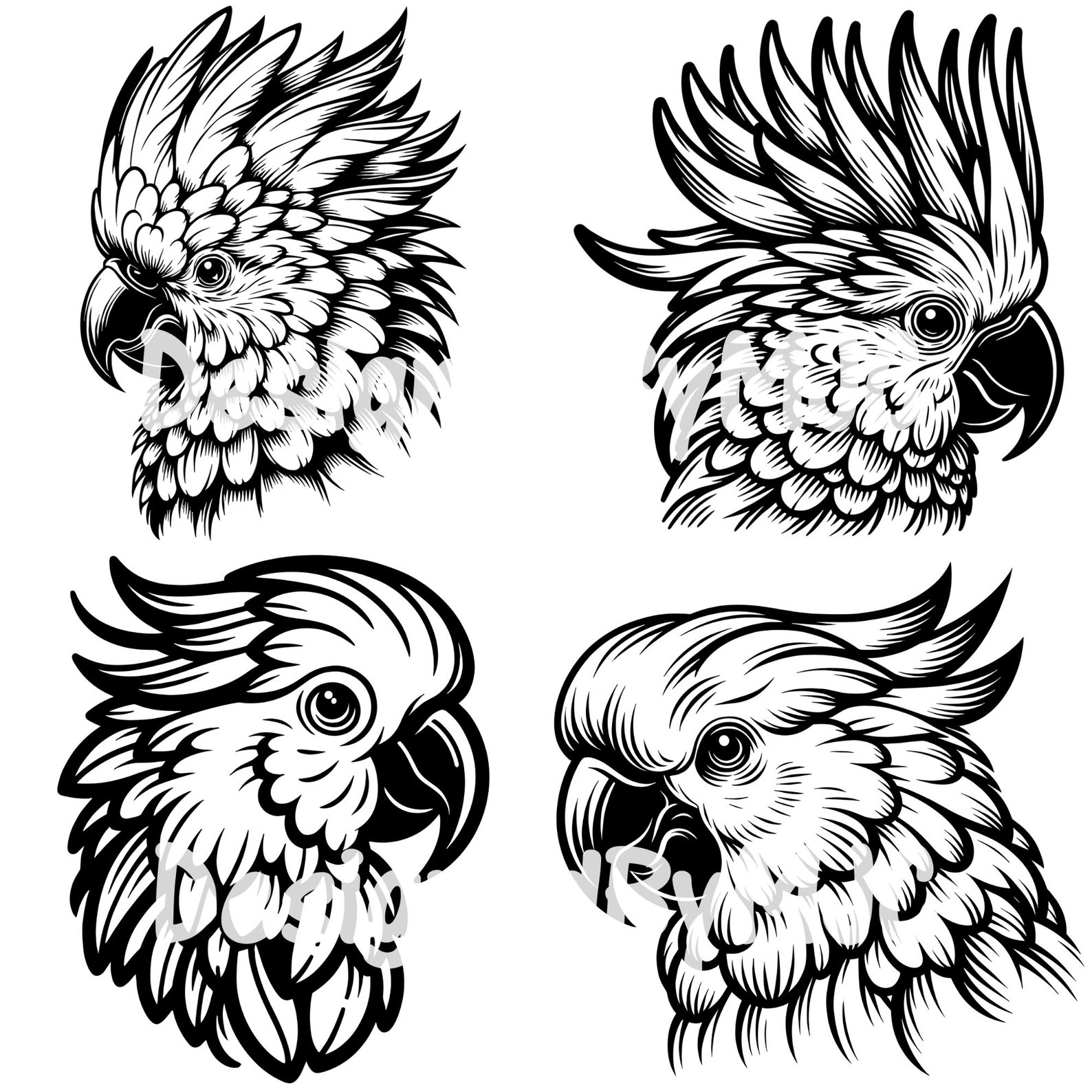 Cockatoo Parrot SVG Clipart PNG, Bird Tropical Feathers Colorful ...