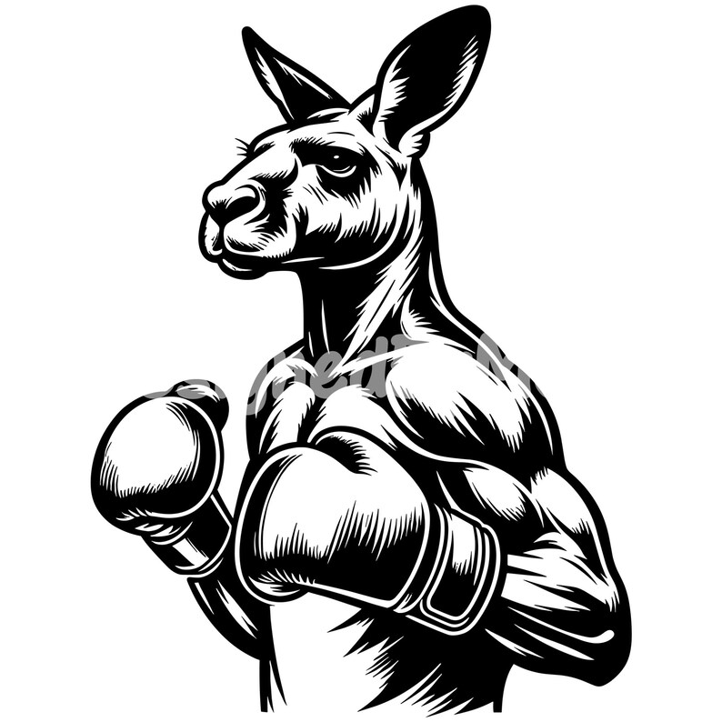 Kangaroo Boxing SVG, Kangaroo SVG, Boxing Mascot Svg, Boxer, Boxing ...