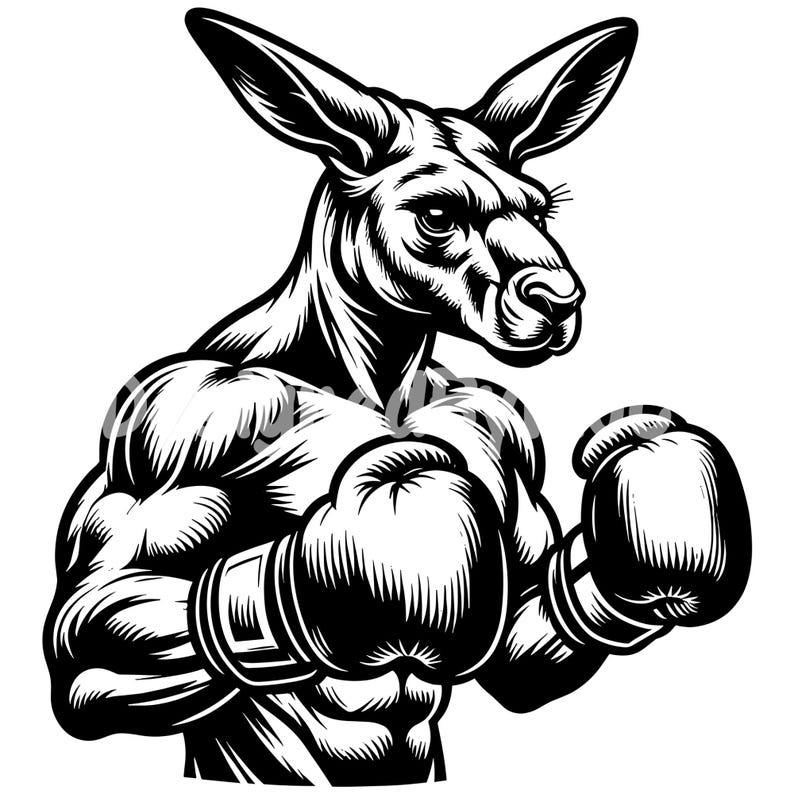 Kangaroo Boxing SVG, Kangaroo SVG, Boxing Mascot Svg, Boxer, Boxing ...