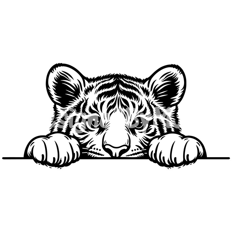 Peeking Tiger SVG Bundle PNG Files, Tiger Svg, Peeking Animal Svg ...