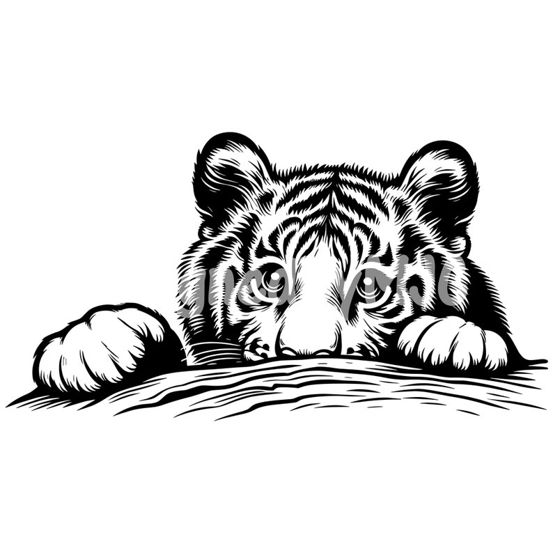 Peeking Tiger SVG Bundle PNG Files, Tiger Svg, Peeking Animal Svg, Wildlife Svg, Safari Clipart ...
