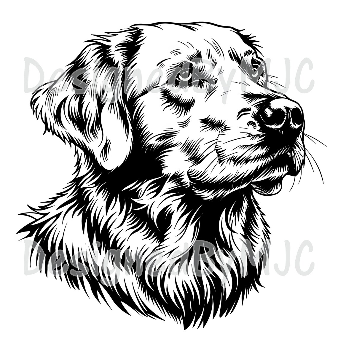 Golden Retriever Head SVG Clipart, SVG & PNG Files, Cut Files for ...