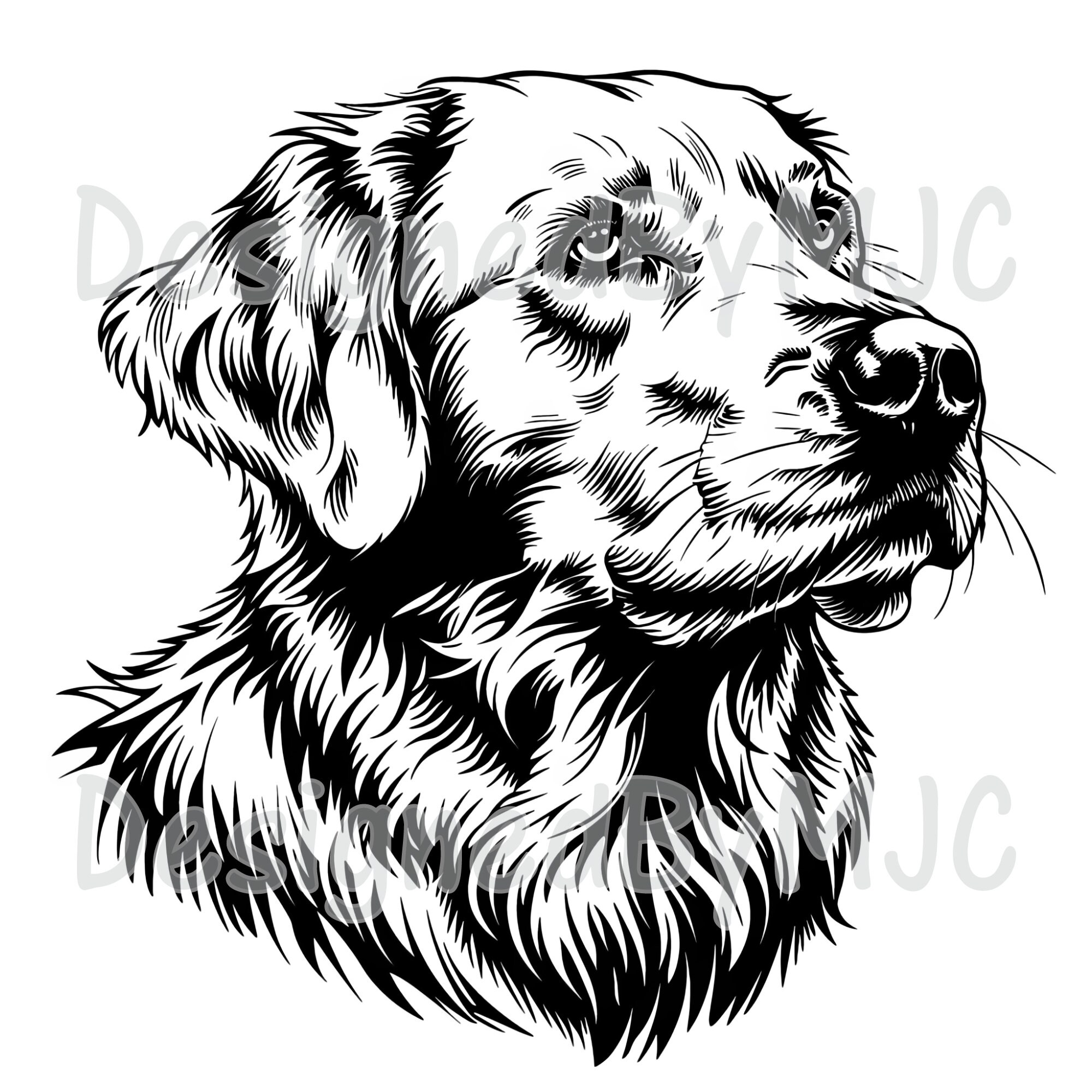 Golden Retriever Head SVG Clipart, SVG & PNG Files, Cut Files for ...