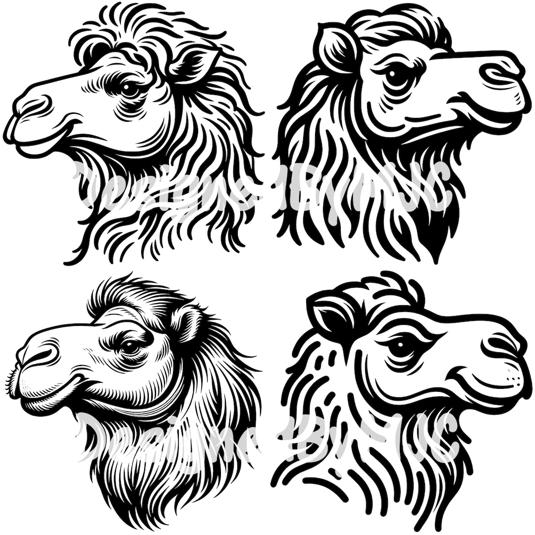 Camel SVG Bundle PNG Files, Desert Camel Svg, Camel Vector Bundle Pack ...