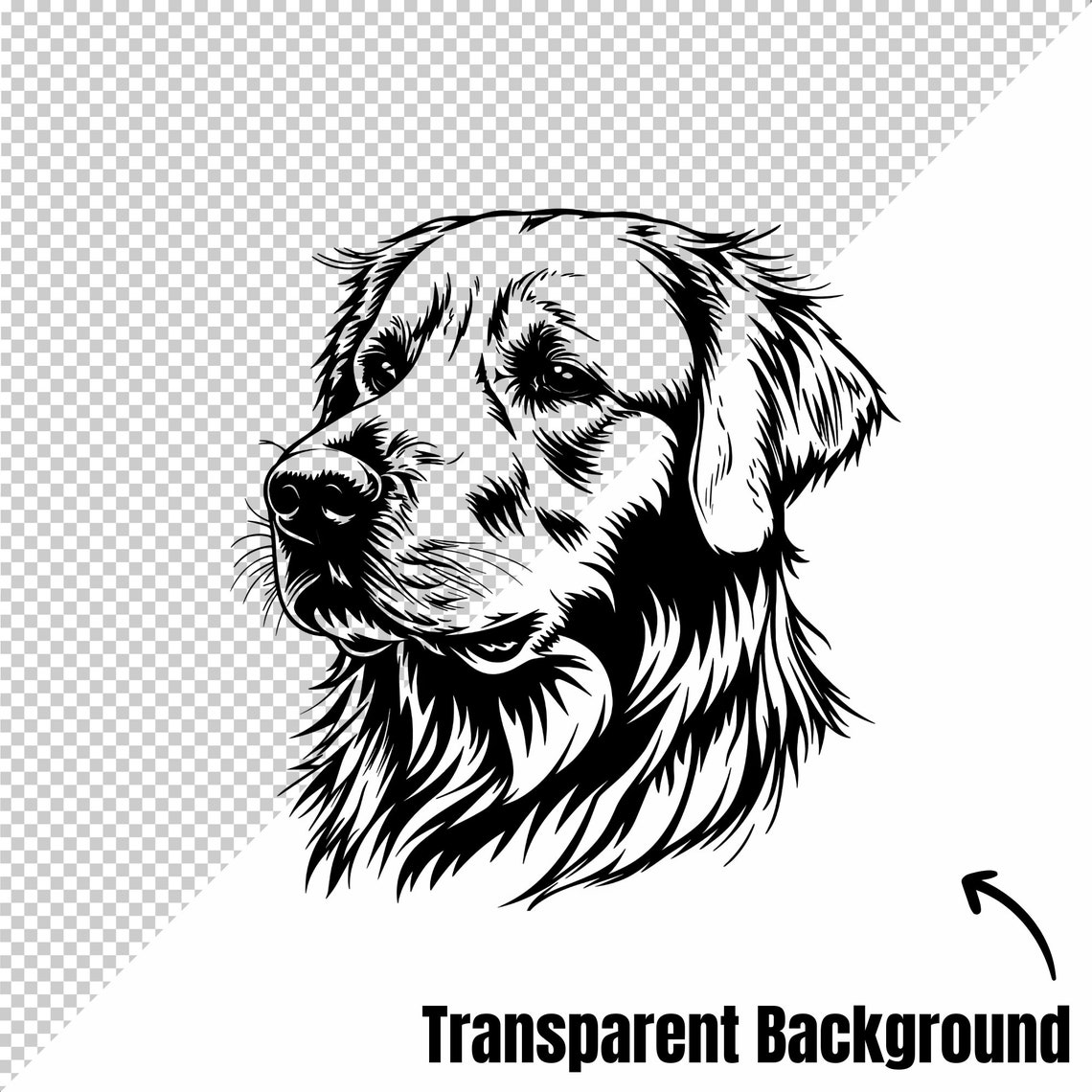 Golden Retriever Head SVG Clipart, SVG & PNG Files, Cut Files for ...