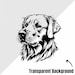 Golden Retriever Head SVG Clipart, SVG & PNG Files, Cut Files for ...