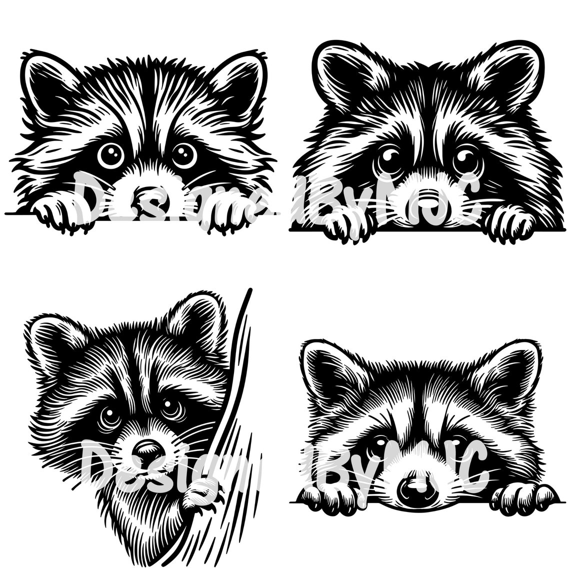 Peeking Raccoon SVG Bundle PNG Files, Raccoon Svg, Peeking Animal Svg ...