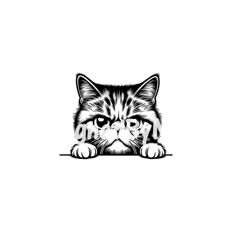 Peeking Grumpy Cat SVG Bundle 25 Clipart & PNG Files, Angry Cat Vector ...