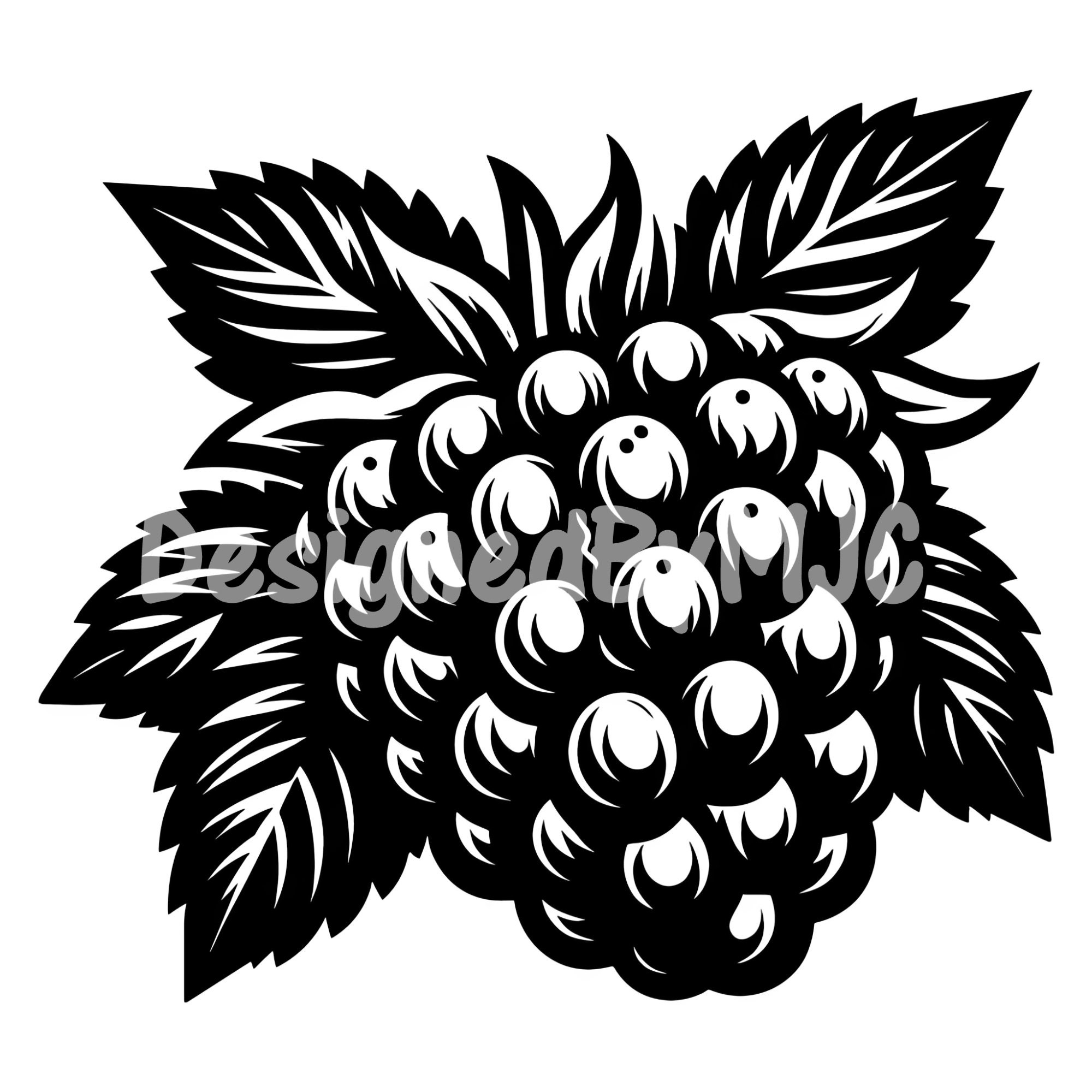 Raspberry SVG Bundle & PNG Files, Raspberry Fruit Clipart, Raspberry ...