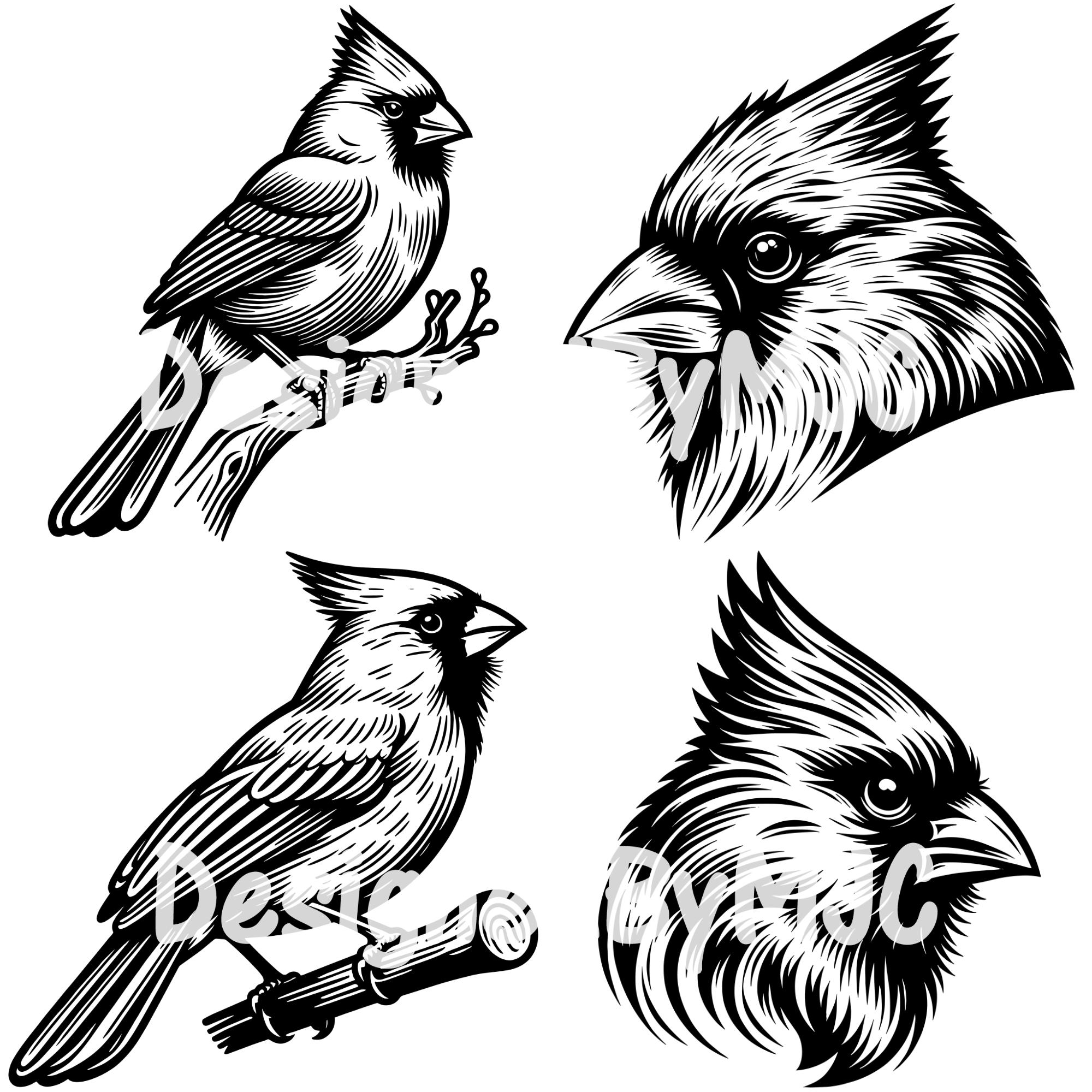 Cardinal Bird SVG Bundle, Bird Clipart, Cardinal Bird Head Vector ...