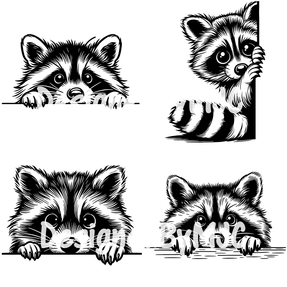 Peeking Raccoon SVG Bundle PNG Files, Raccoon Svg, Peeking Animal Svg ...