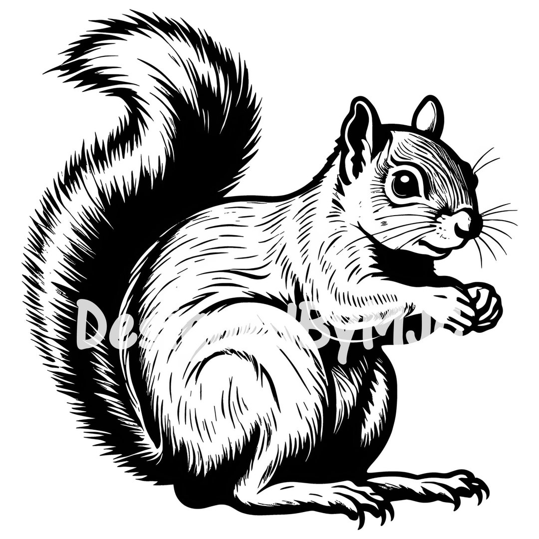 Squirrel SVG Clipart & PNG Files, Woodland Animals Graphics, Digital ...