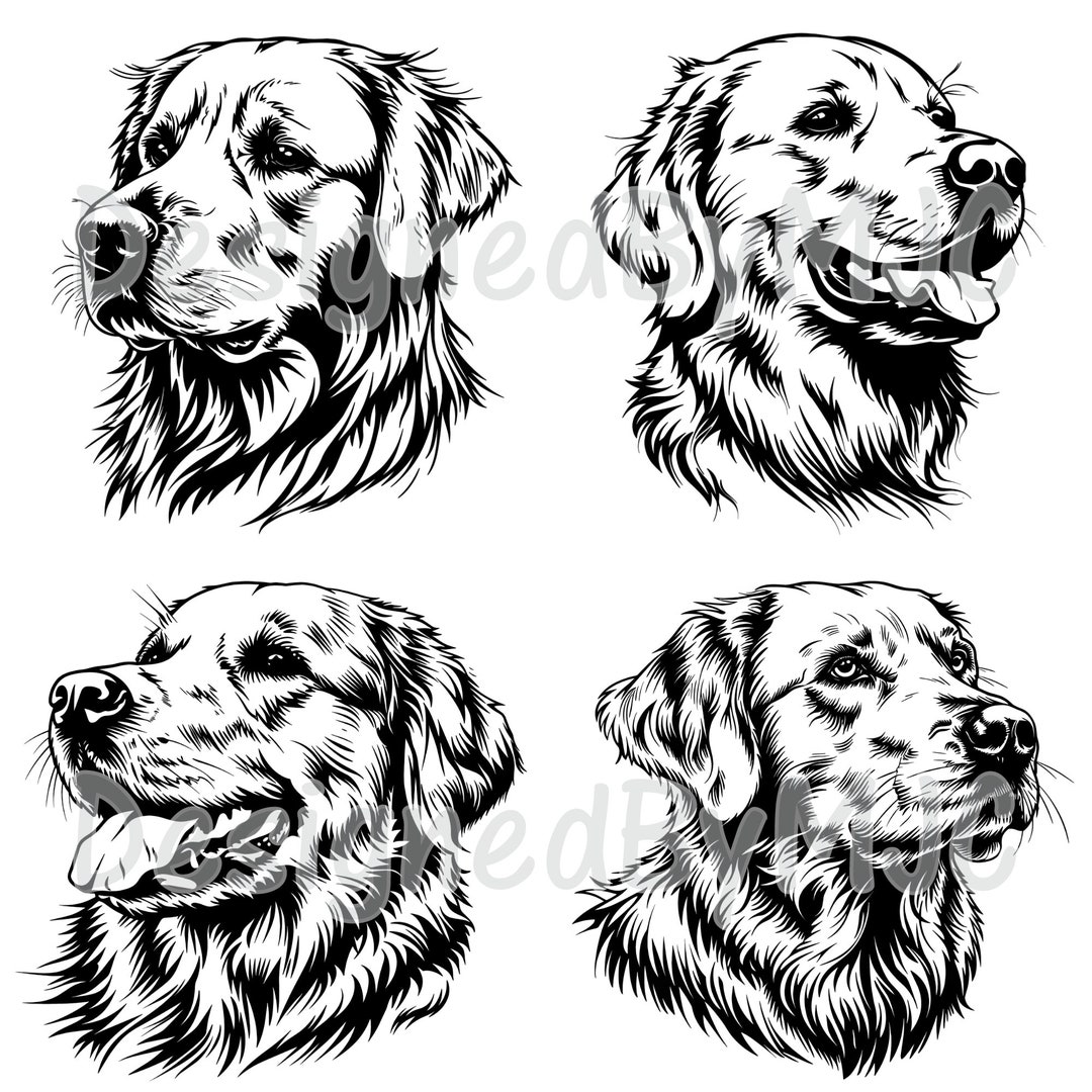 Golden Retriever Head SVG Clipart, SVG & PNG Files, Cut Files for ...