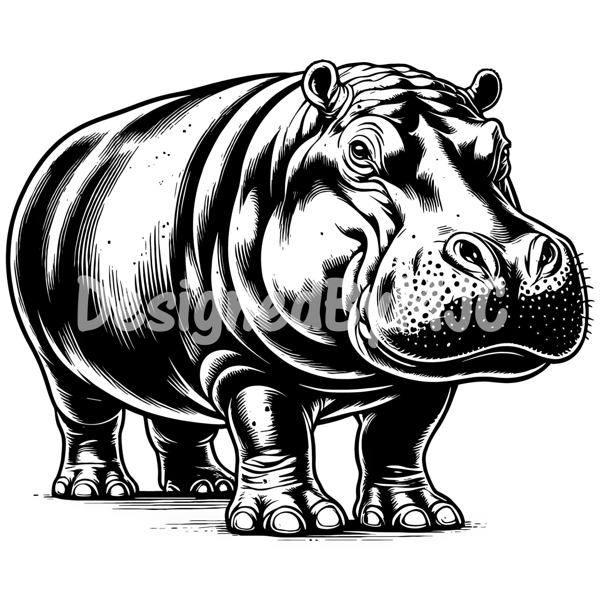Hippo SVG Bundle & PNG Files, Hippopotamus Svg, Hippopotamus Clipart ...