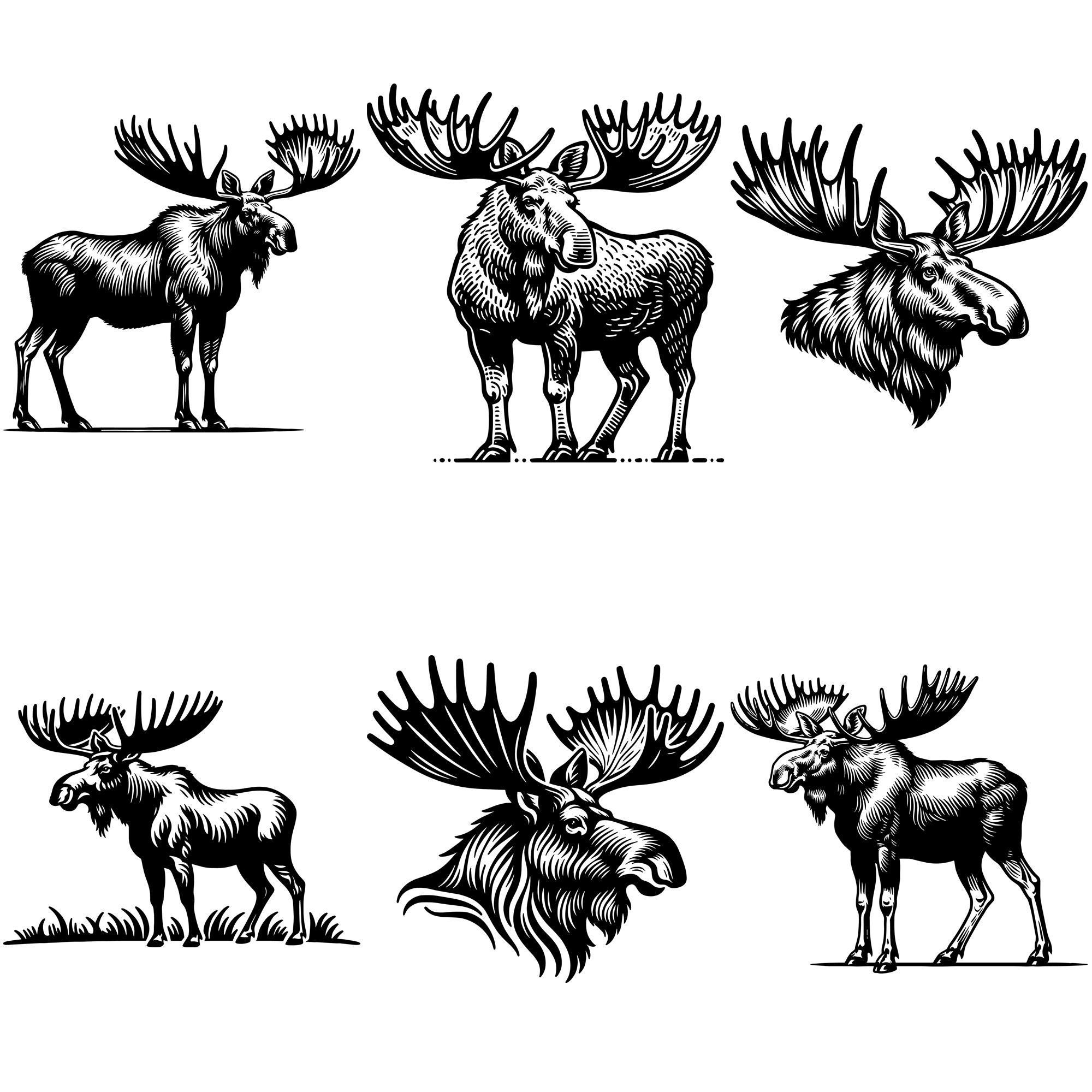Moose SVG Bundle Clipart PNG Files, Camping Scene Vector Image ...