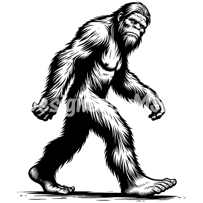 Bigfoot Walking SVG PNG, Bigfoot Svg, Bigfoot Vector, Bigfoot Clipart ...
