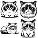 Grumpy Cat SVG Bundle 25 Clipart & PNG Files, Angry Cat Vector Cat ...