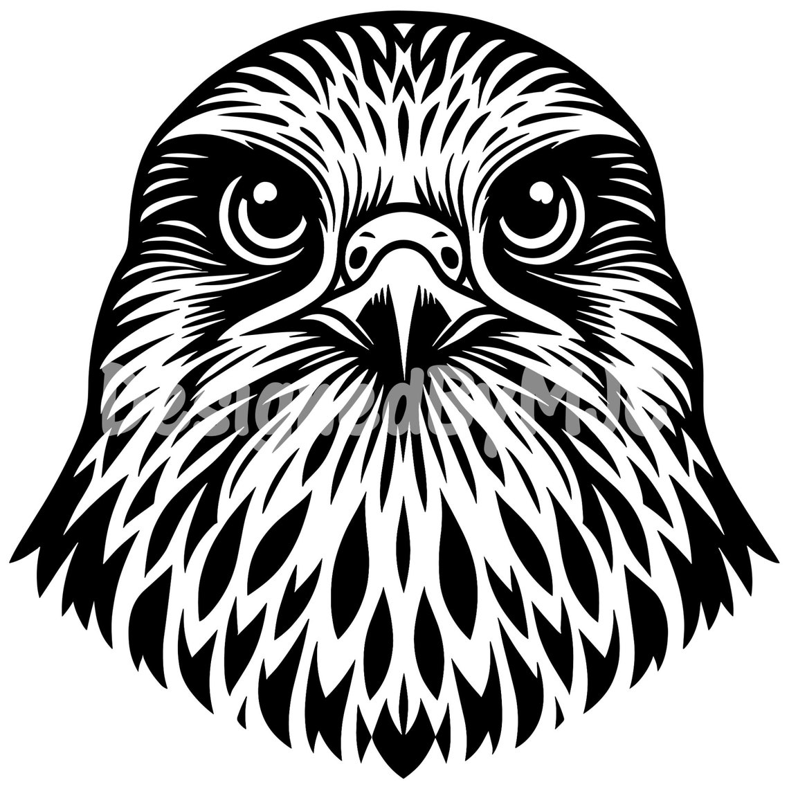 Falcon Head SVG File, American Falcon Head Vector Images, Falcon ...