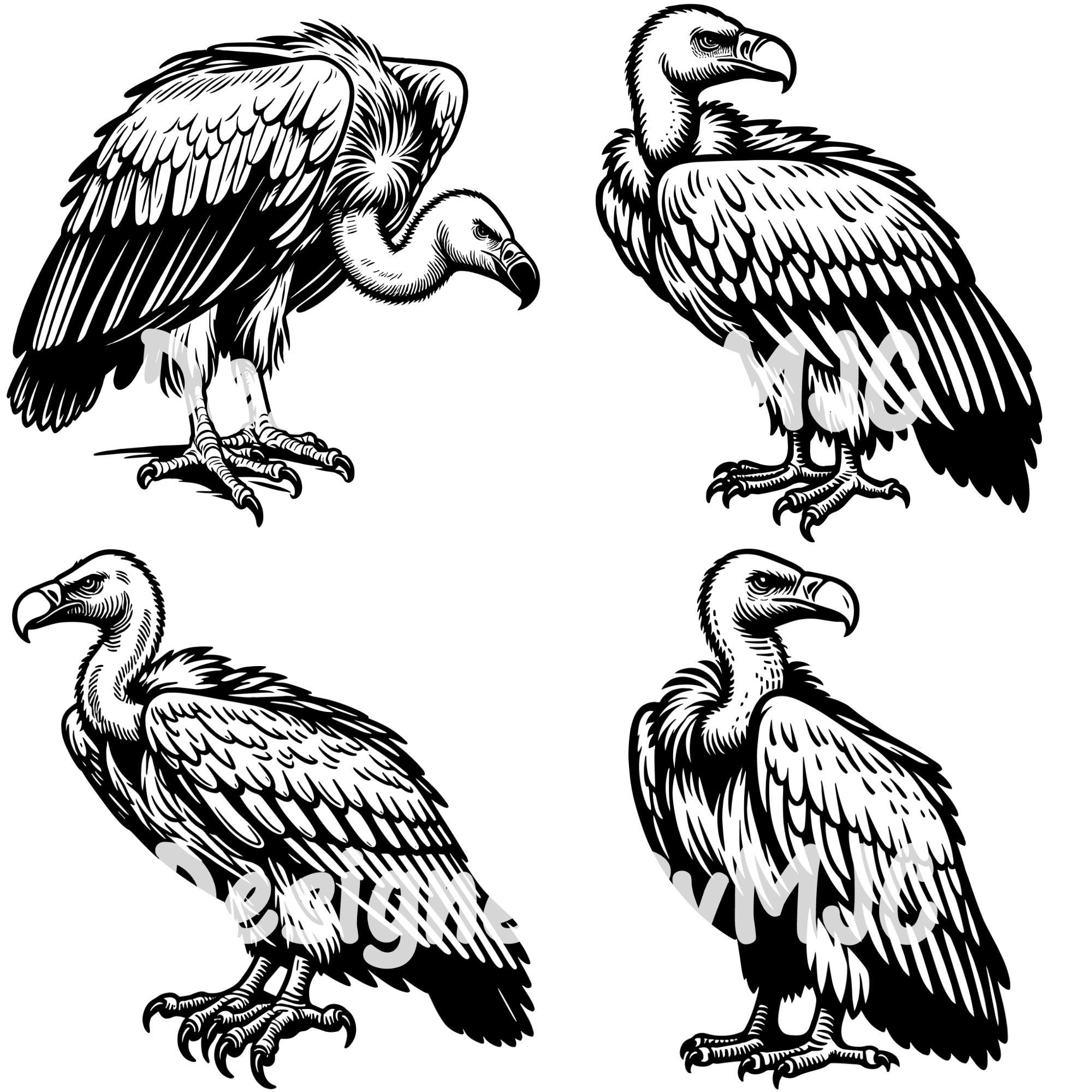 Vulture SVG PNG Bundle, Dog Clipart, Vulture PNG Files, Vulture ...
