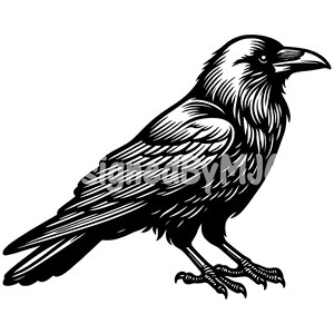 Raven SVG Bundle & PNG Files, Raven Bundle Svg Png, Halloween Raven Svg ...