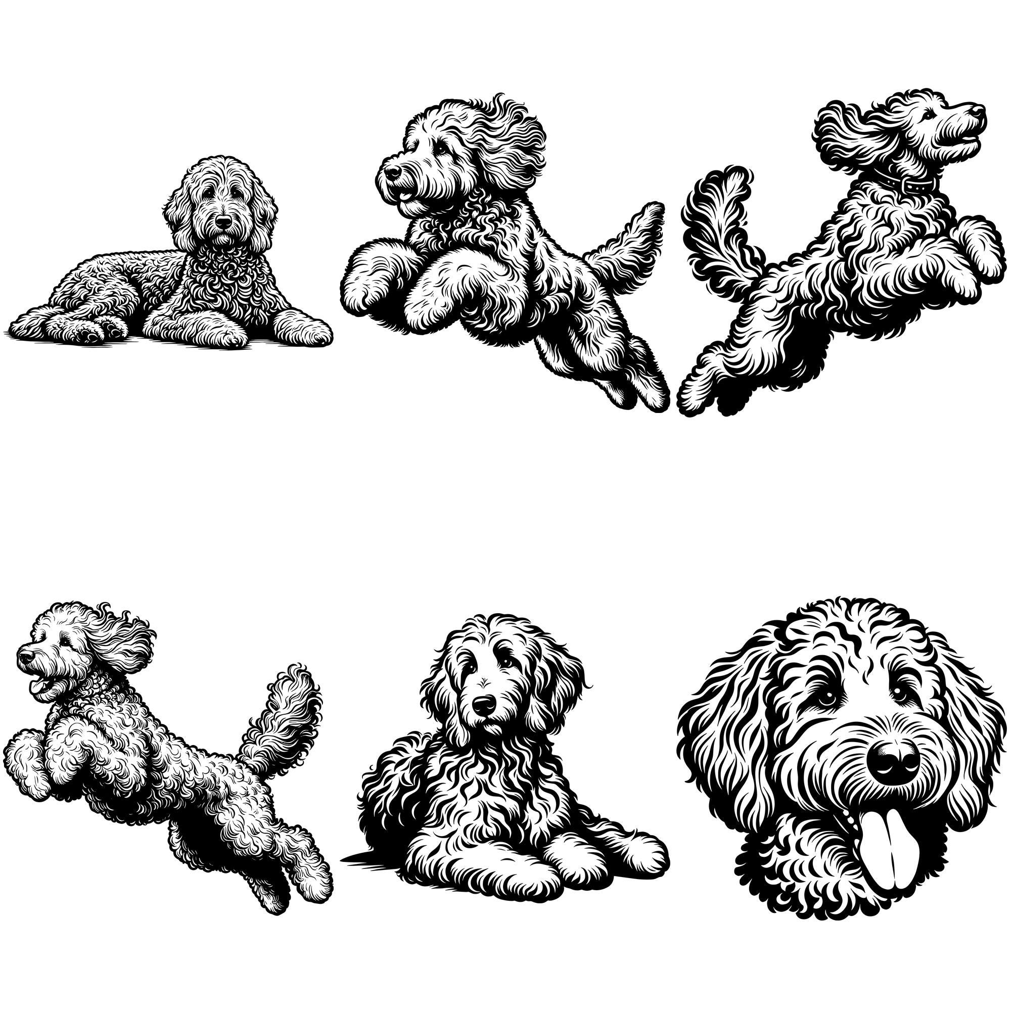 Goldendoodle SVG PNG Bundle, Dog Lover Clipart, Golden Doodle Vector ...