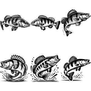 Perch Fish Vector SVG Bundle, Perch Fishing SVG, Fishing SVG, Jumping ...