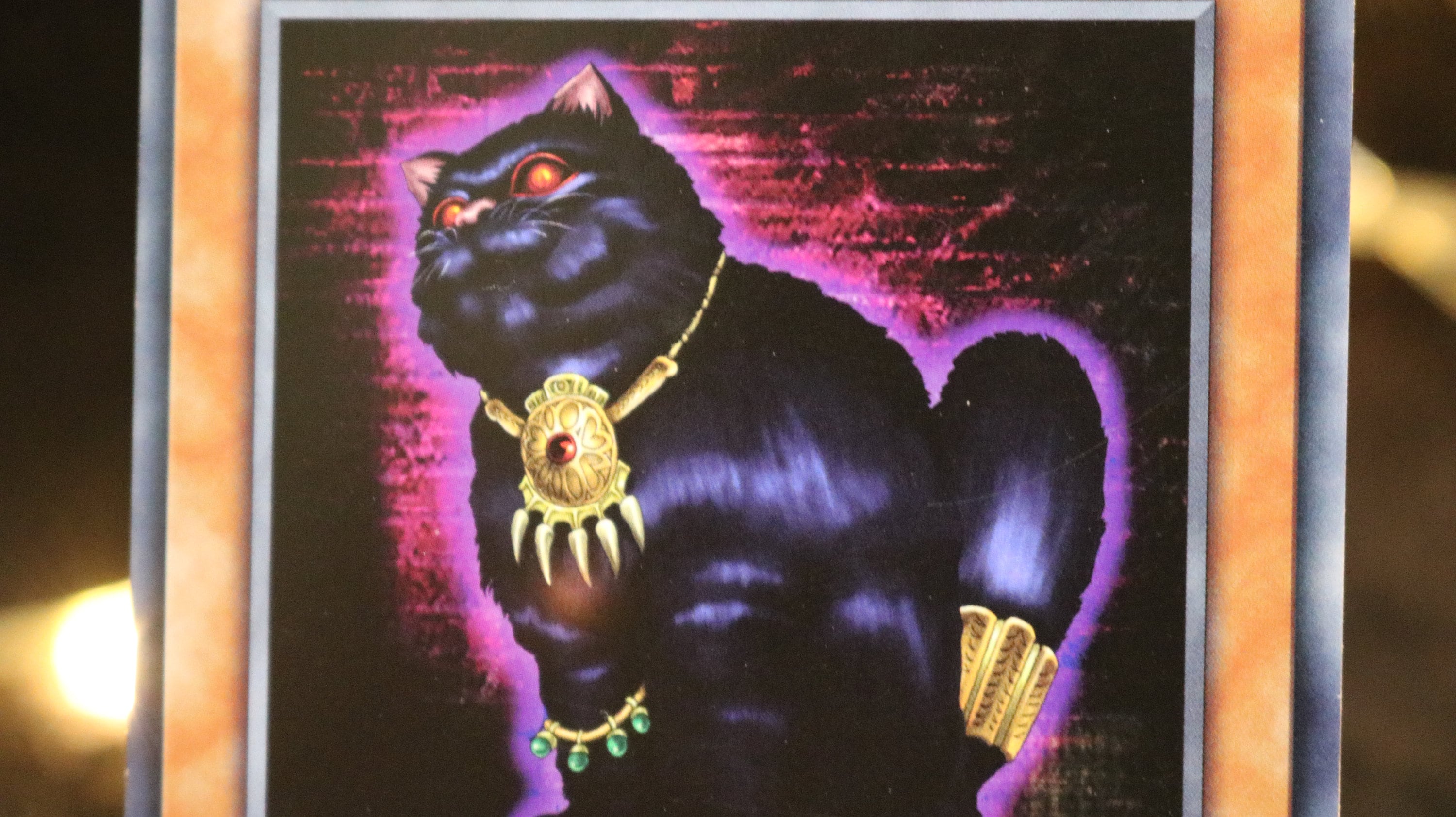 Yugioh Cat of Ill Omen 1st Edition Trading Card Games Yugioh Trading ...