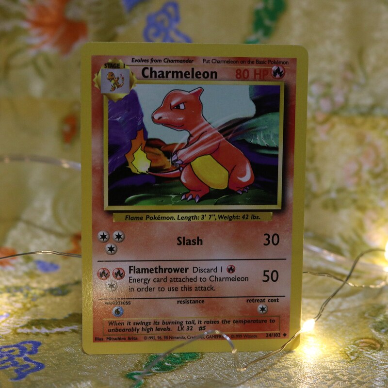 Charmander Evolution - Etsy