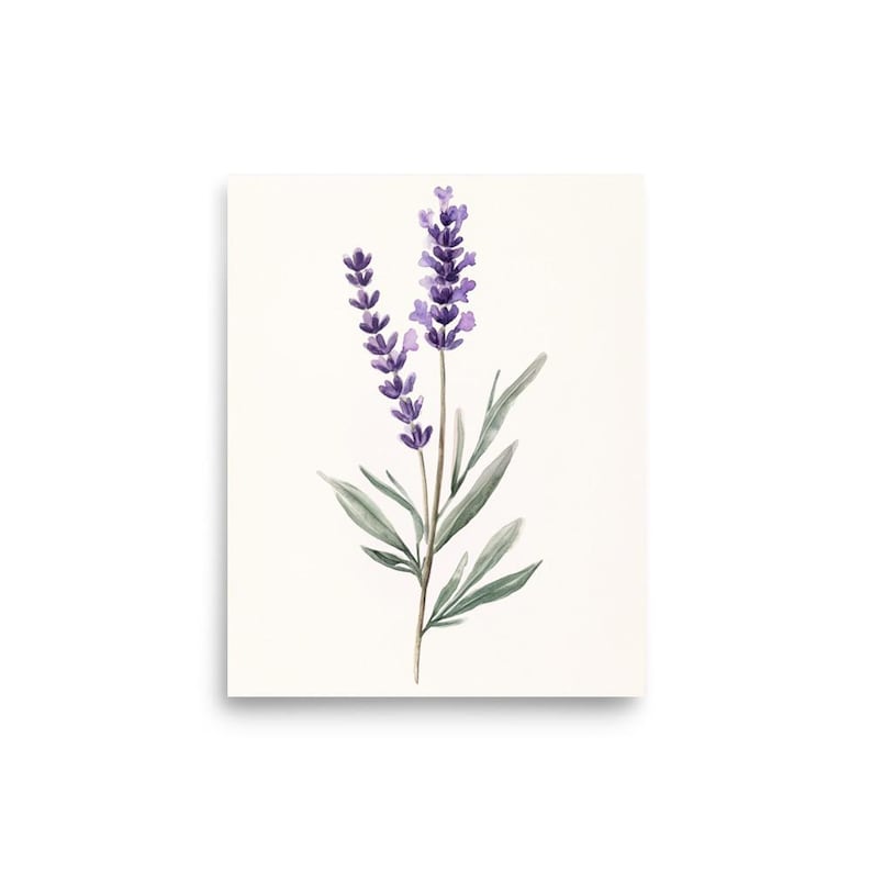 Lavender Serenity: Minimalist Watercolor of a Lavender Stem - Etsy
