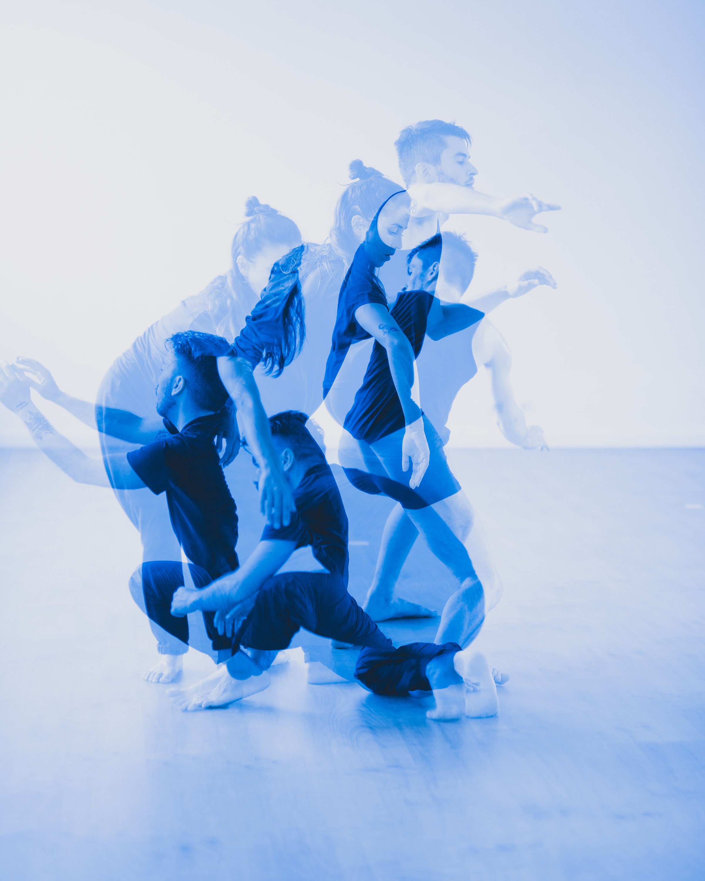 Art Print Cyanotype Digital Download High Resolution Art Photography ...