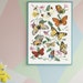 Vintage Baby Chick Nursery PRINTABLE Wall Art | Hatching Chick Nursery ...