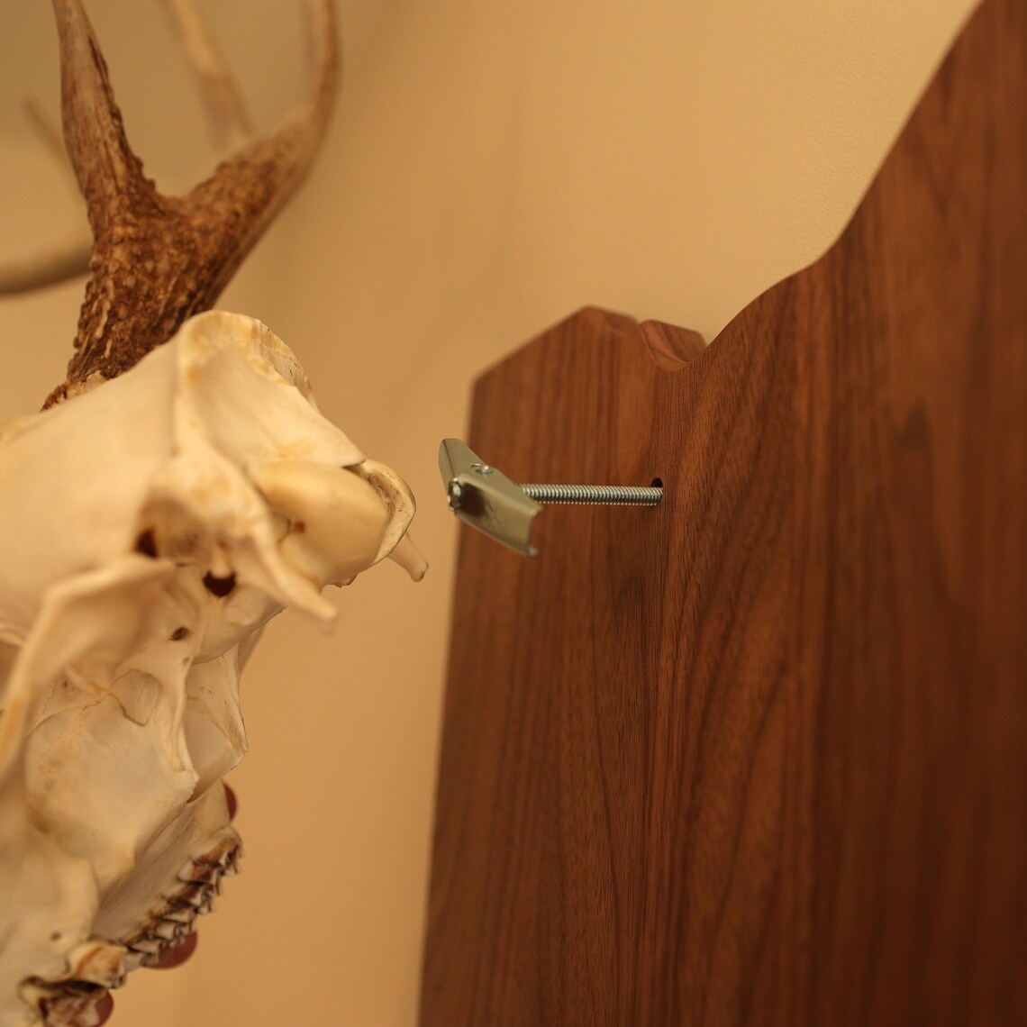 European Standard Wall Mount - Etsy