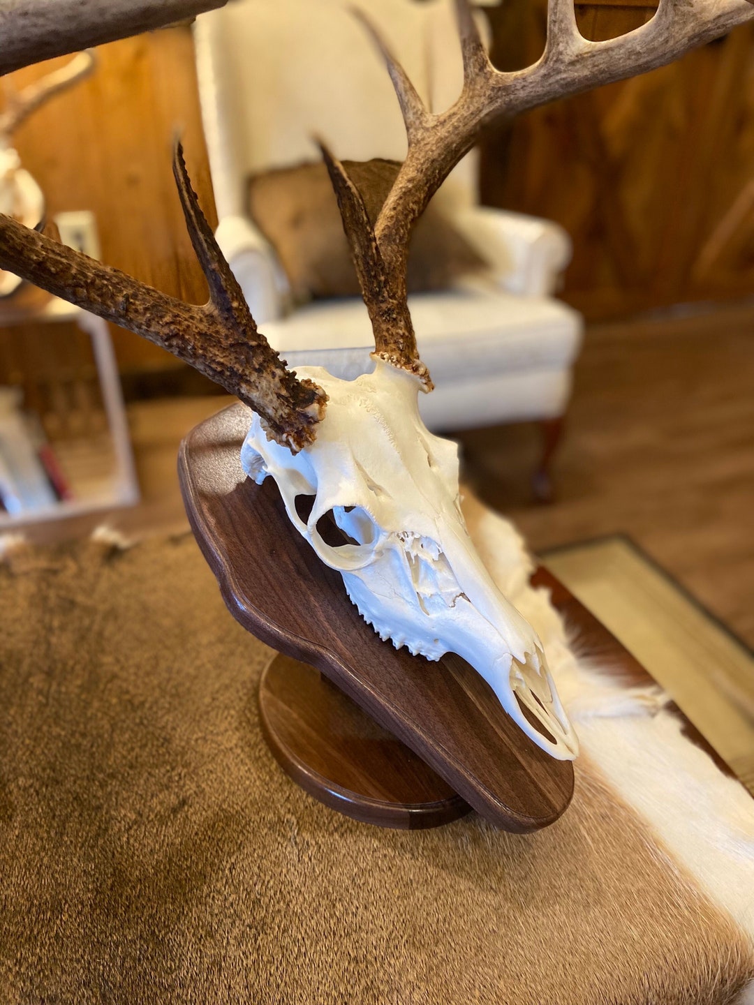 European Mount Wall/tabletop Pedestal Display - Etsy