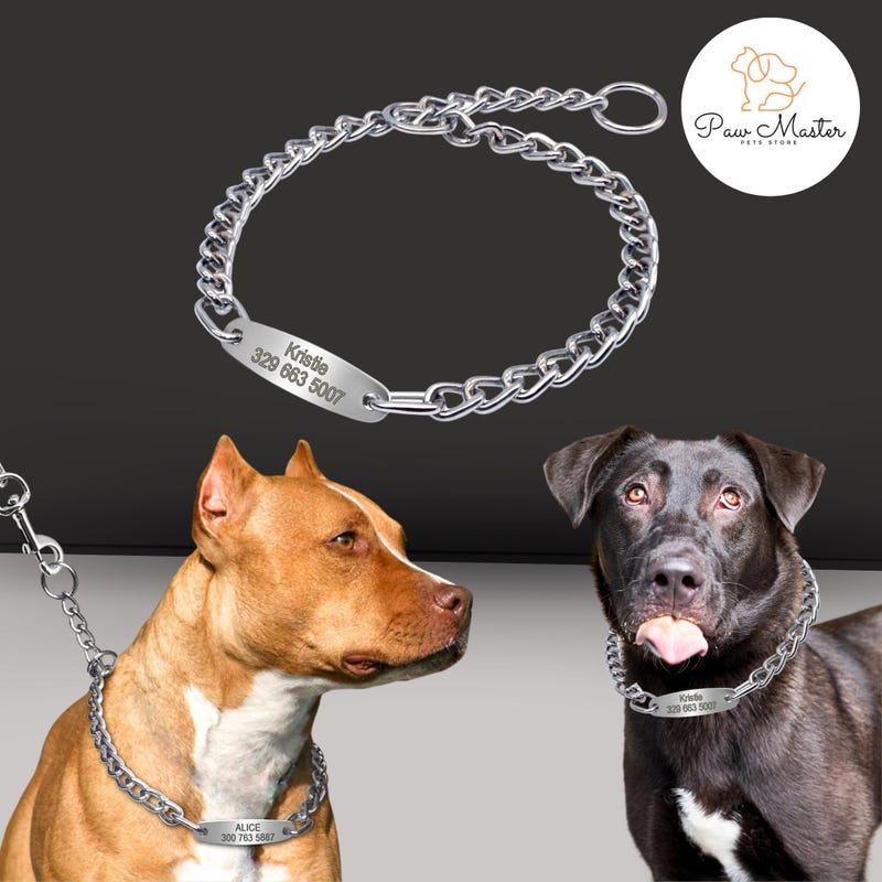 Dog Chain Collar - Etsy