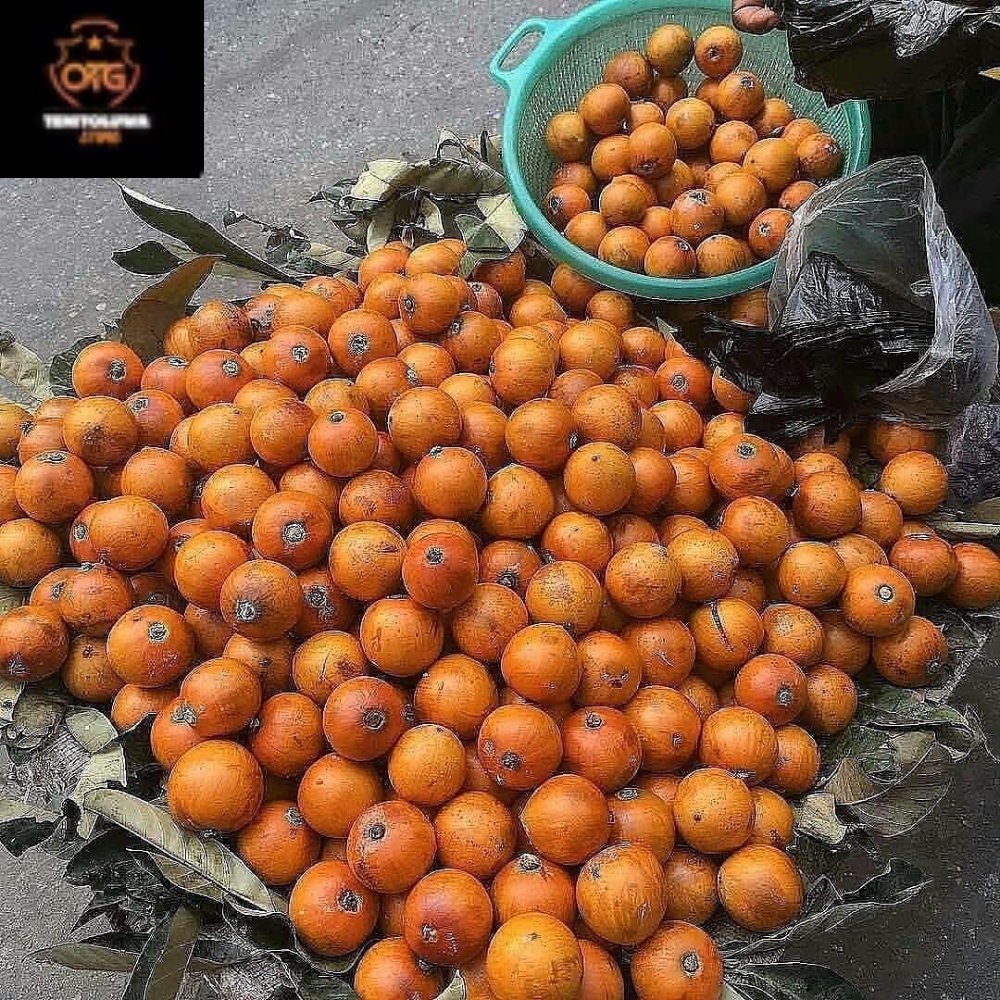 1 Dozen Sweet African Agbalumo - Udara -african Star Apple - Etsy