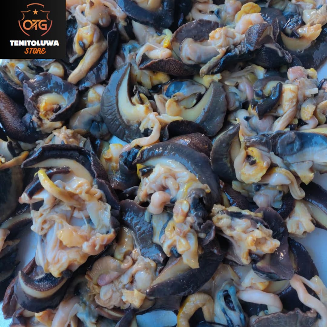 Jumbo Fresh Snail 1ib-nigeria Fresh and Frozen Snail - Etsy