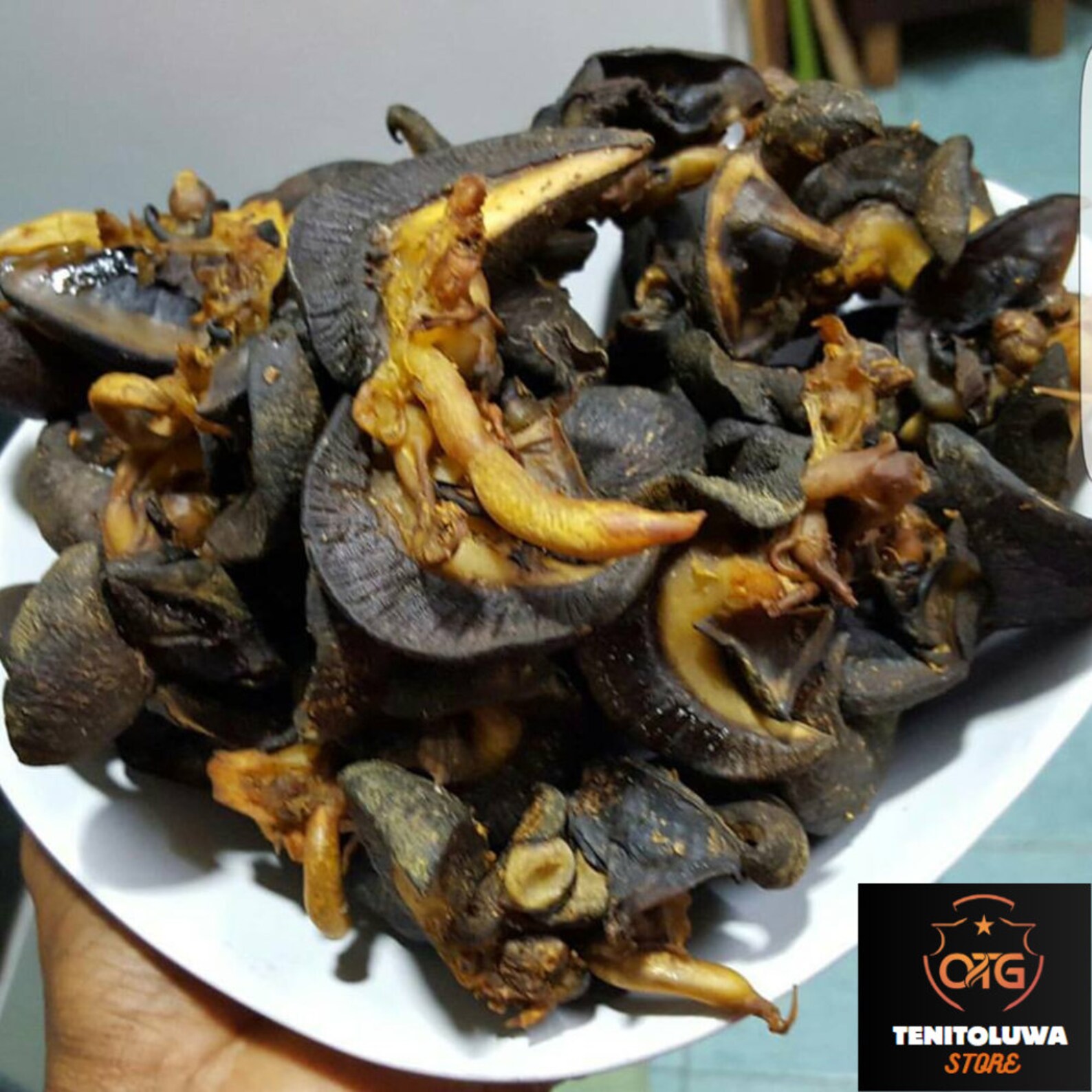 Jumbo Fresh Snail 1ib-nigeria Fresh and Frozen Snail - Etsy