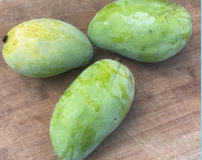 Hot Green Mango Chow 300g / Trini Snack / Spicy Mango / Preserves - Etsy