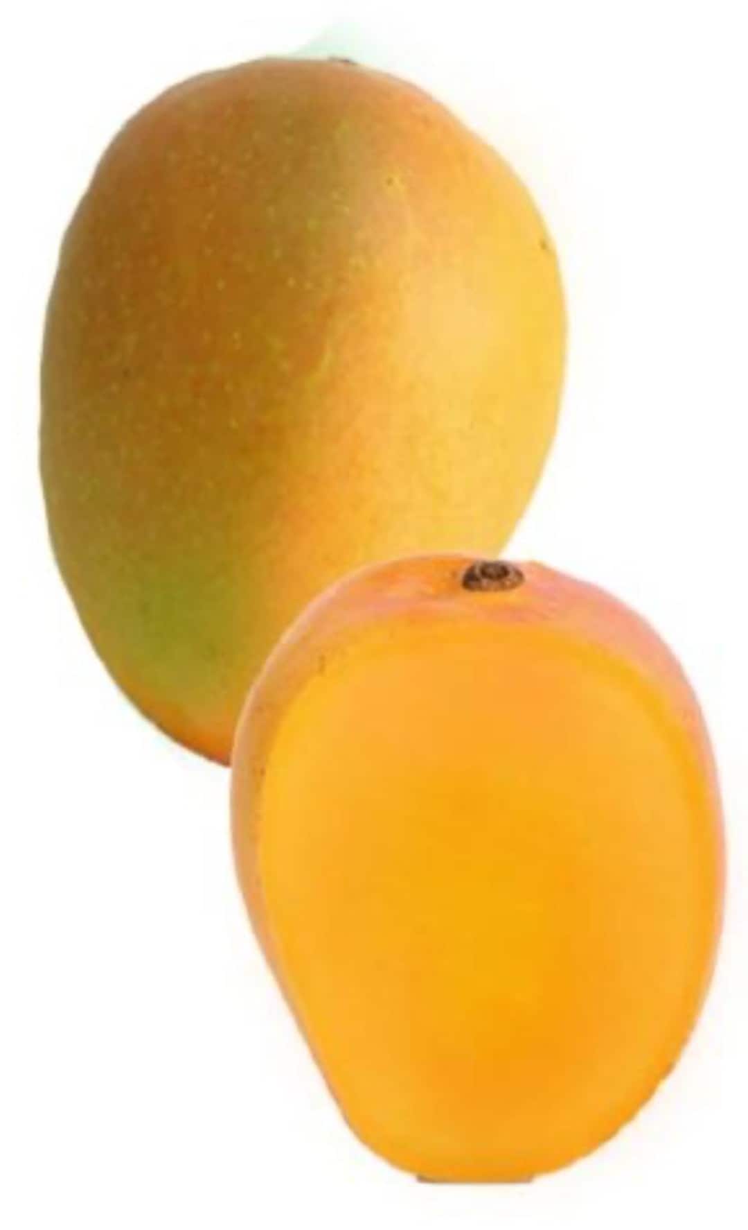Diamond Mango TREE GRAFTED Cold Hardy (2-4 Feet Tall). Ship to All ...