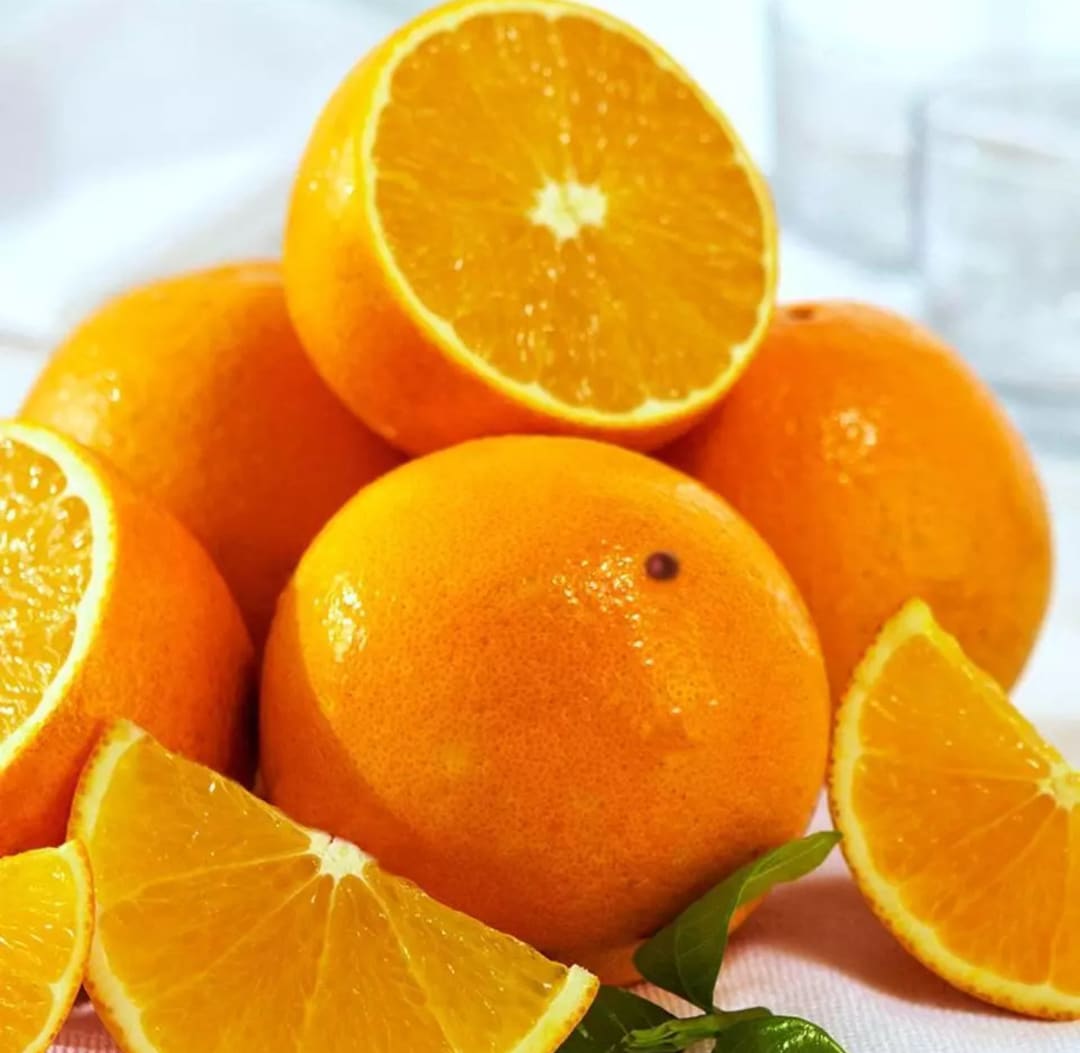 Valencia Orange Tree (grafted) 2-4 Feet Tall. - Etsy