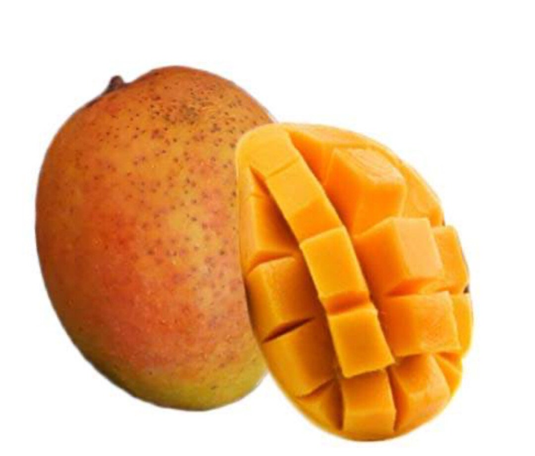 Cotton Candy Mango Grafted in 3 Gallons Pot. Ship to CA&PR - Etsy
