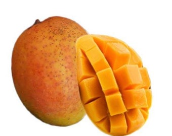 Grafted Cotton Candy Mango Tree - Live Plant Ships Within a Week!!!* No ...