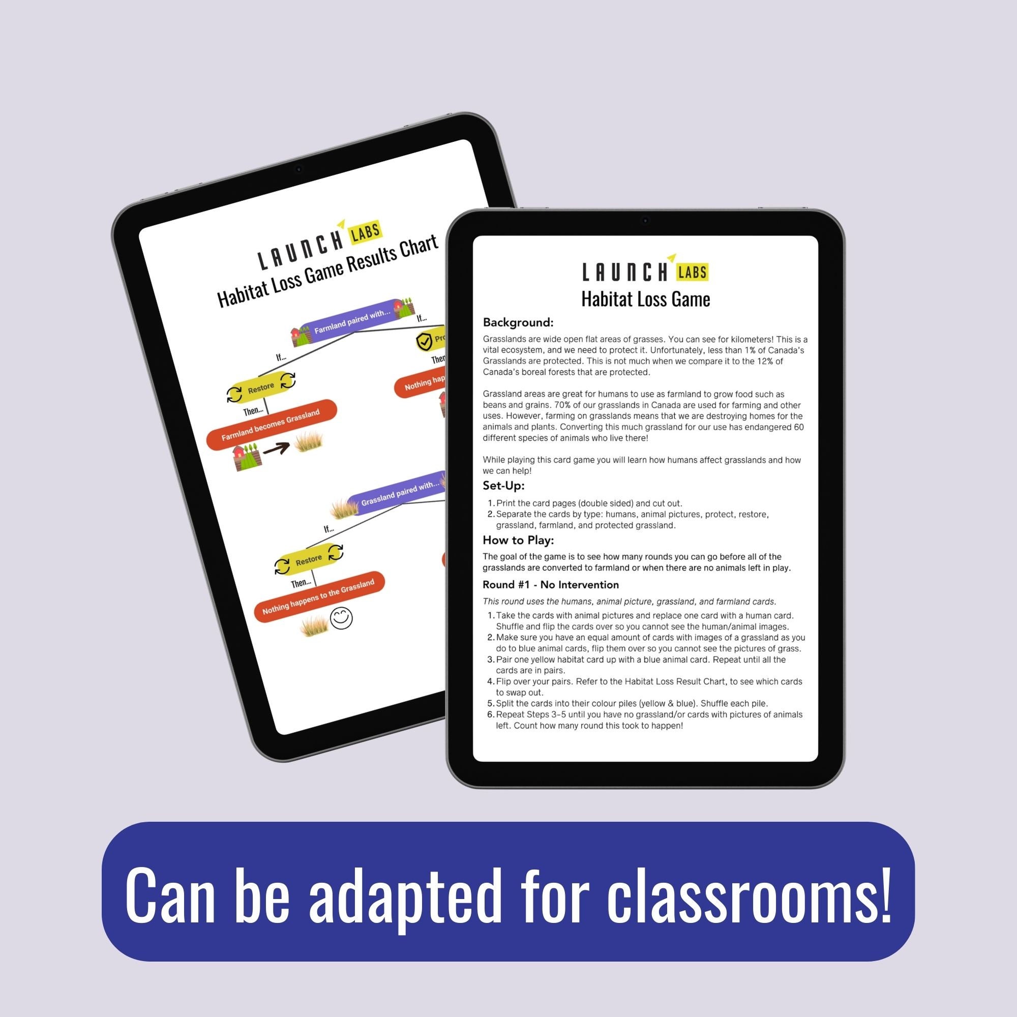 Grasslands Habitat Game | Fun STEM Activity | Teacher and Homeschooling ...