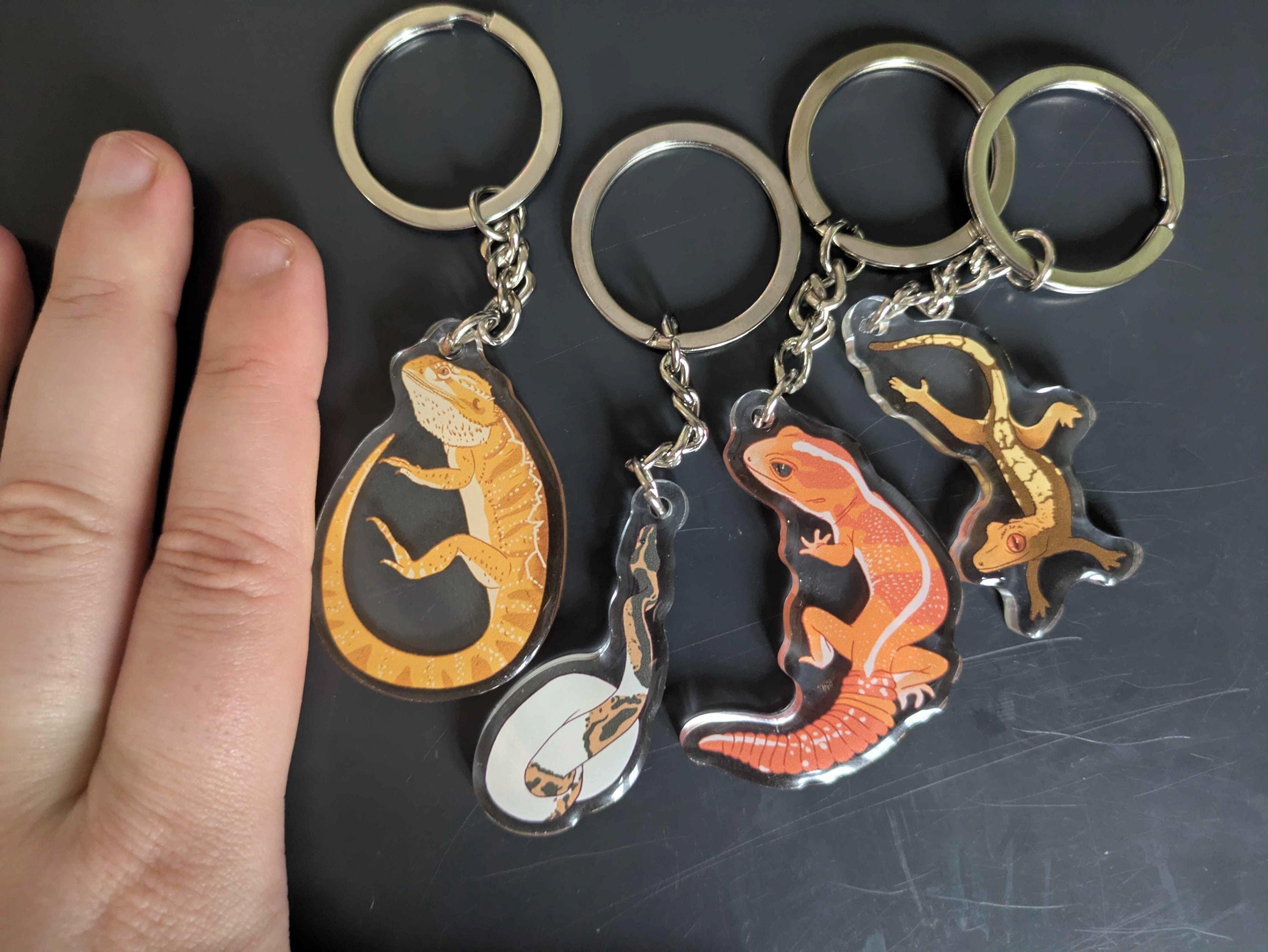 Small Reptile Acrylic Charms Keychains; Bearded Dragon, Ball Python ...