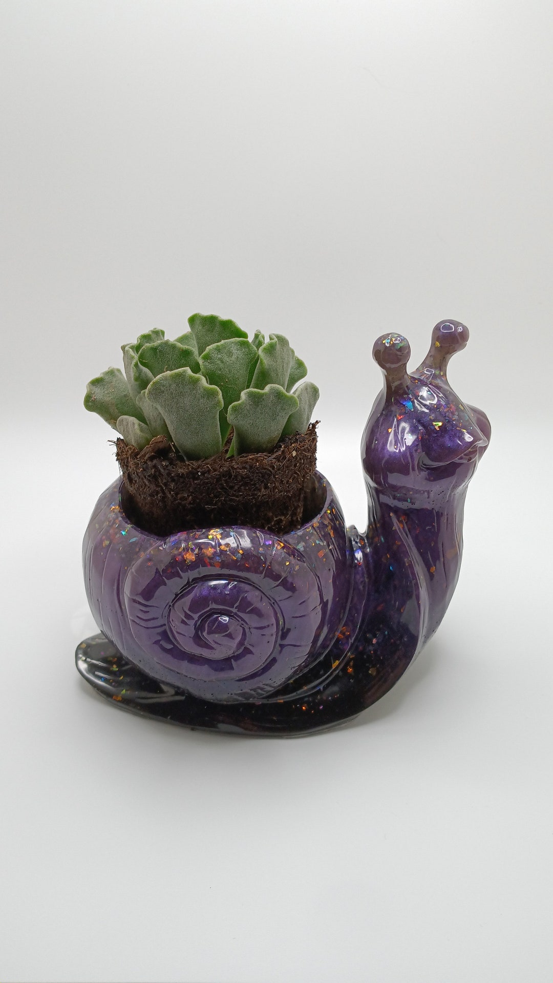 Cute Snail Planter - Etsy