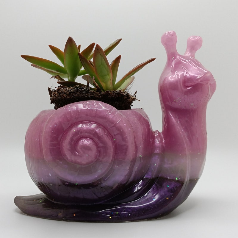 Snail Planter - Etsy