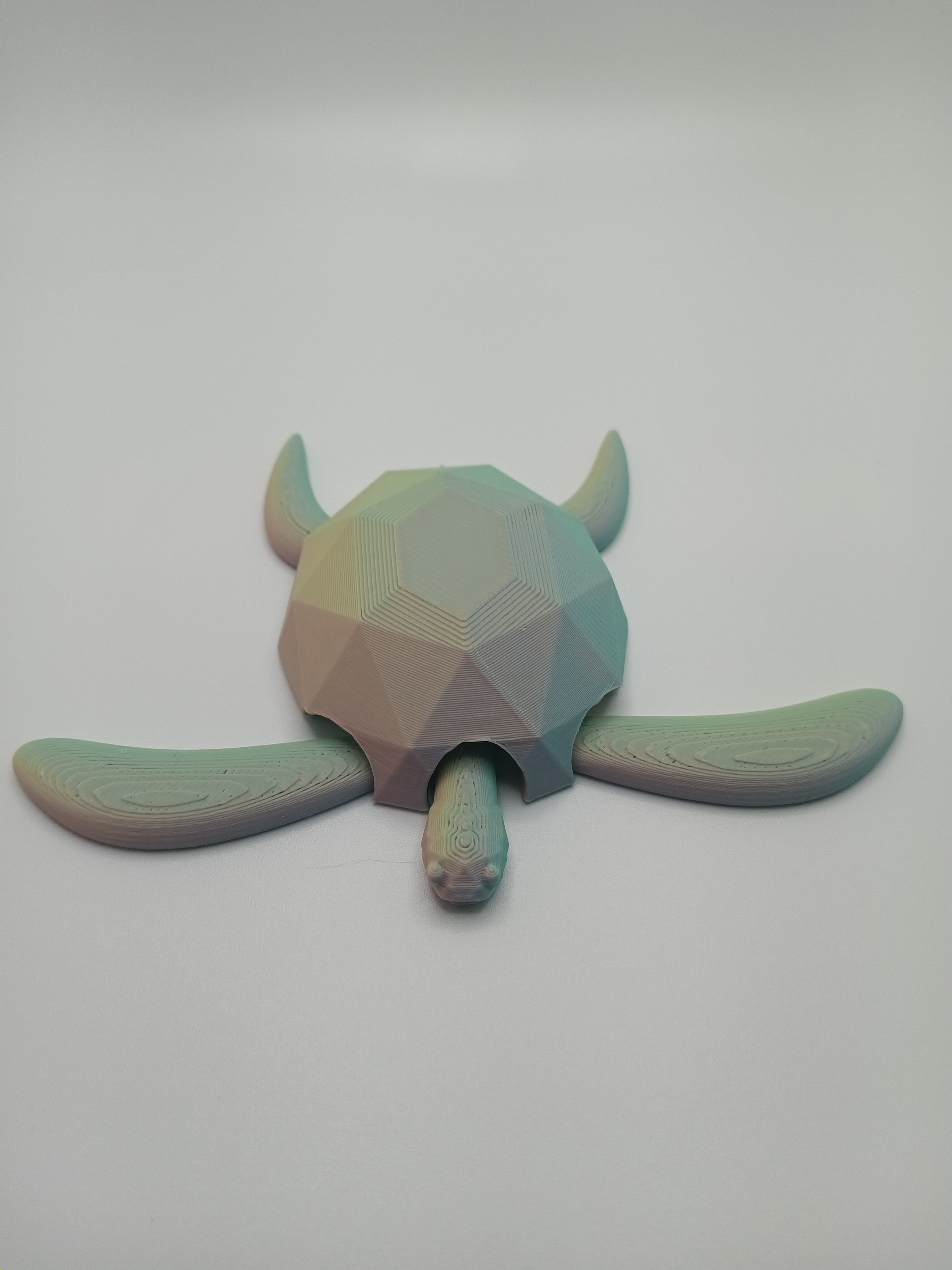 Sea Turtle Fidget Toy - Etsy