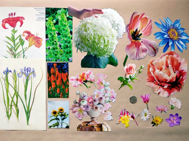 Garden Life Themed Magazine Clippings & Cutouts | 35 Handcut Pieces ...