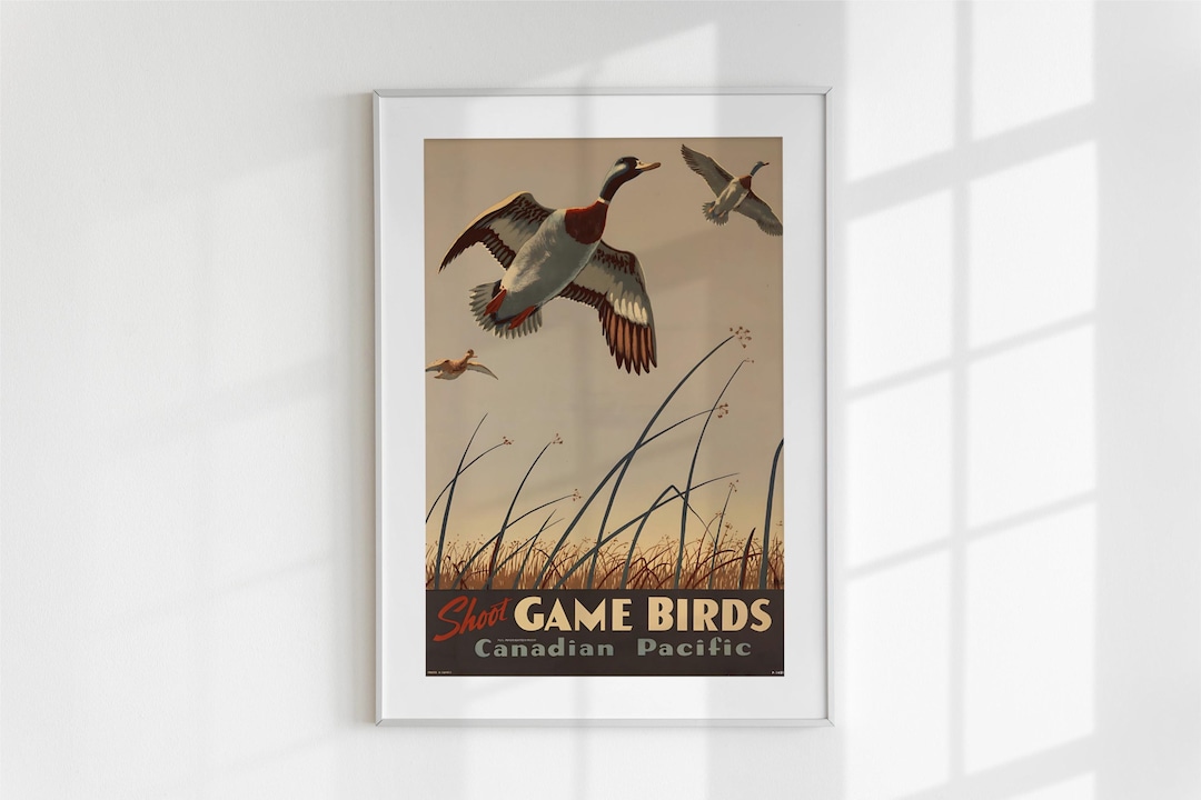 Vintage Game Birds Hunting Poster | Canadian Pacific Duck Hunting Wall ...